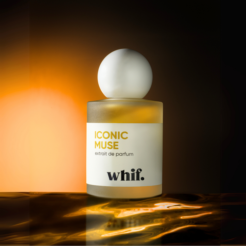 Iconic Muse (Inspired by Chanel No.5 EDP 1984)