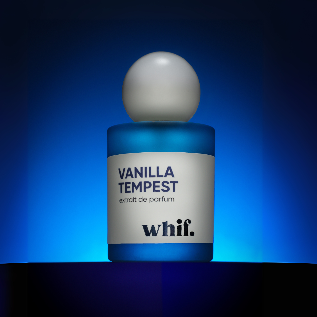 Vanilla Tempest (Inspired by Versace Eros)